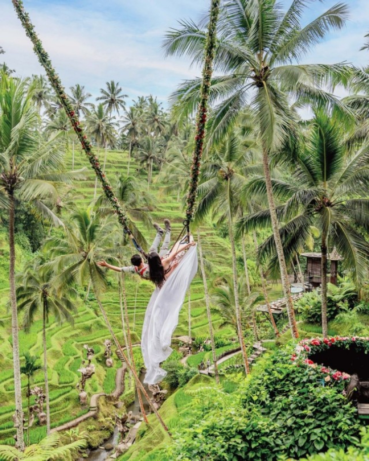 Ubud Full Day Tour: Monkey Forest - Jungle Swing - Rice Terrace - Water ...